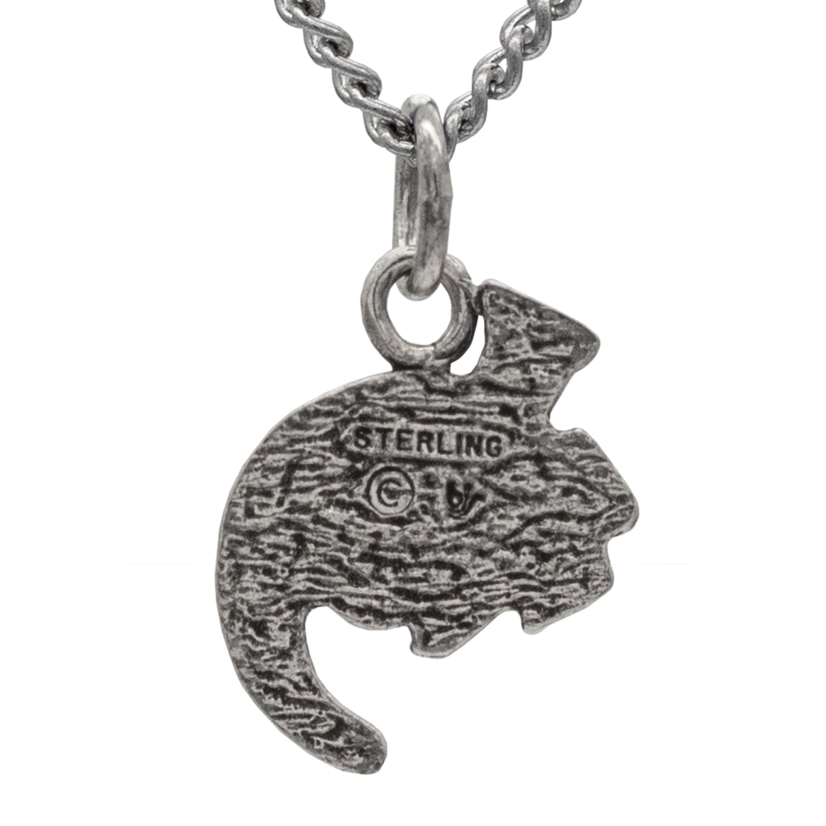 Steel Allomancer Necklace from Brandon Sanderson's Mistborn – BJS Inc.